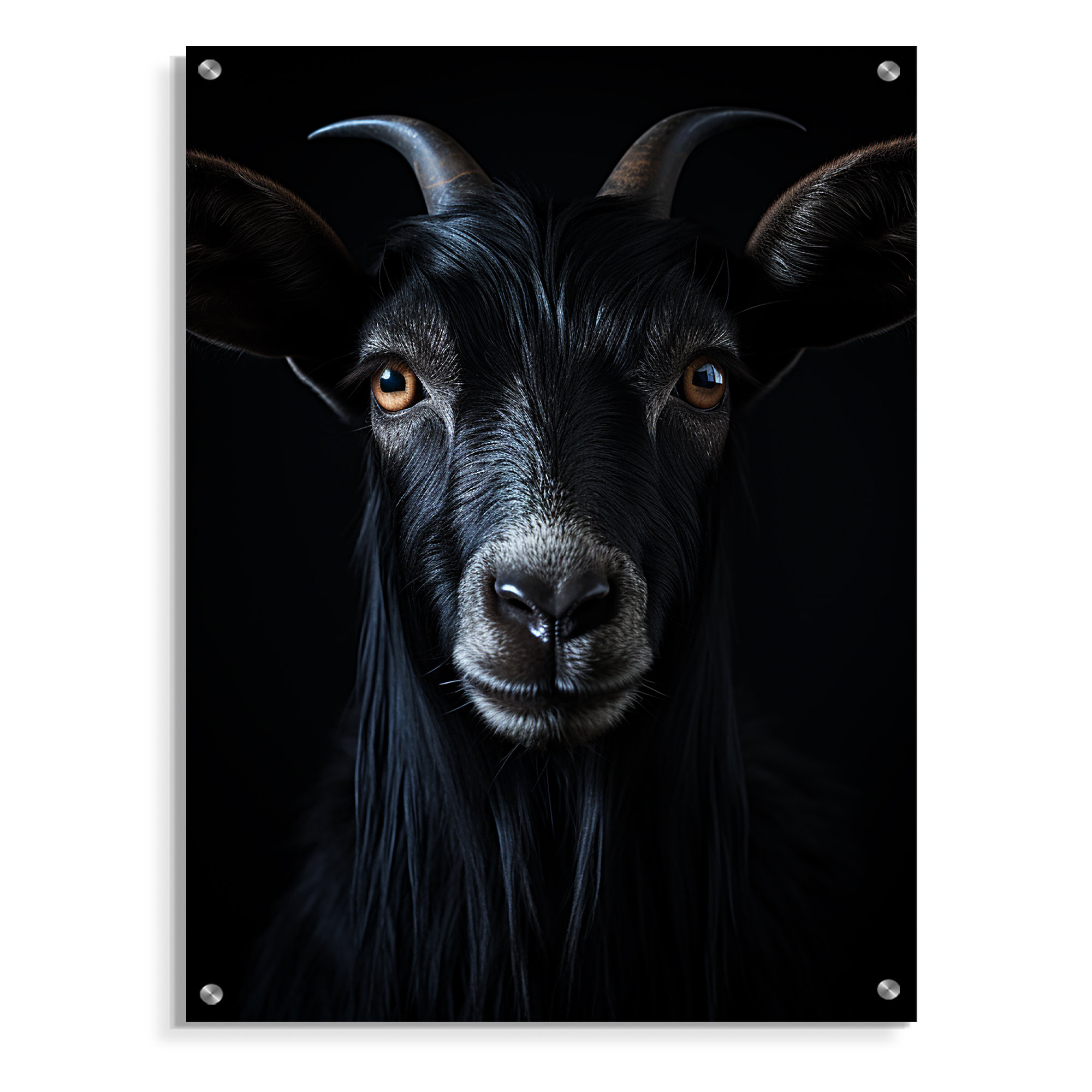 Latitude Run® Black And White Goat Portrait - Goat Acrylic Wall Art For ...
