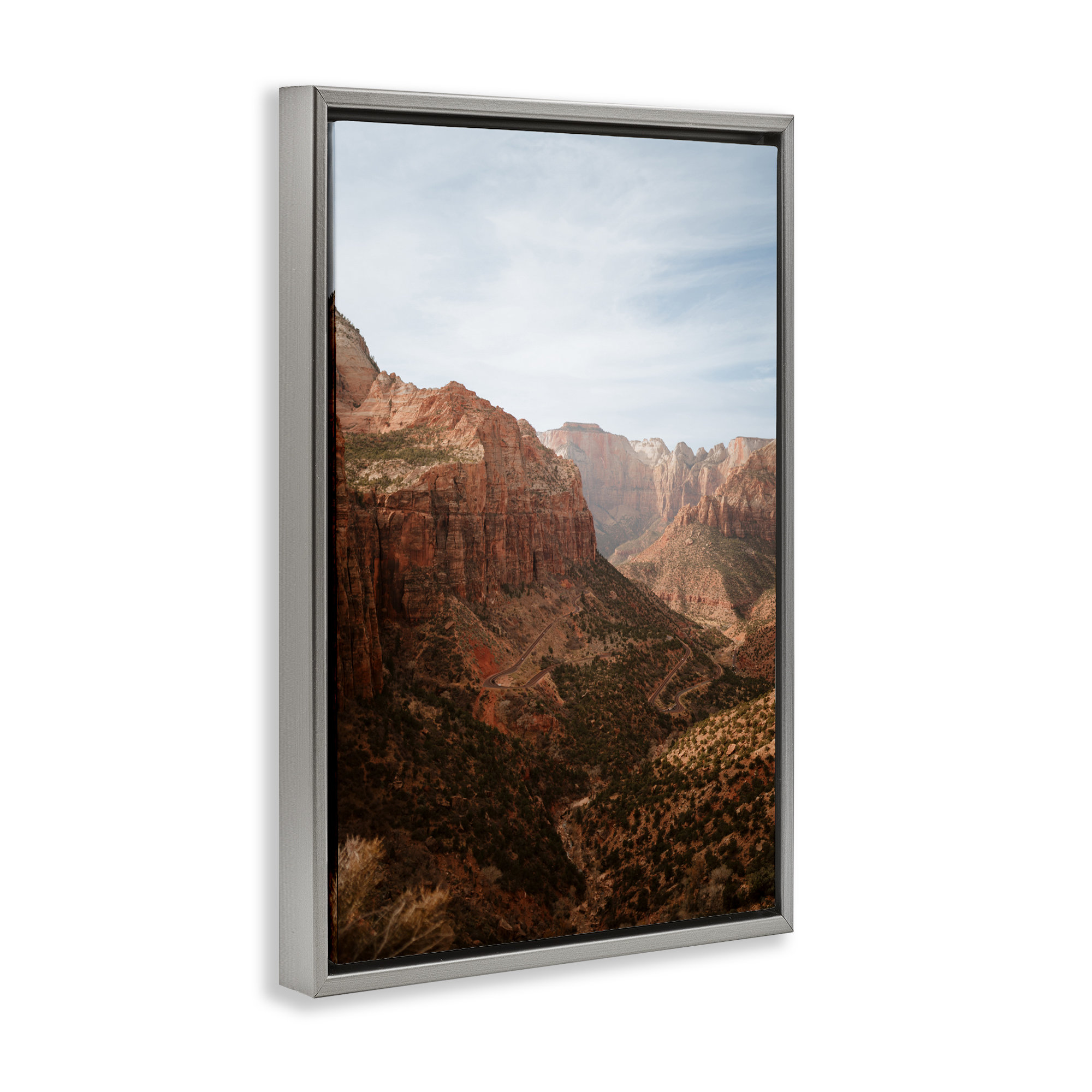Hokku Designs Breathtaking Zion Canyon View Floating Frame, design by ...