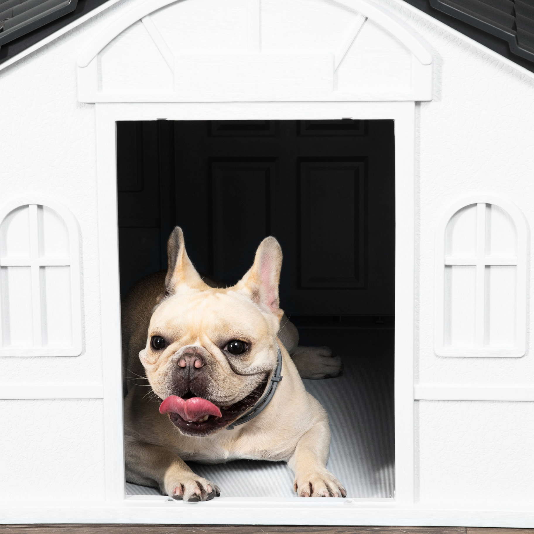 Archie & Oscar™ Water Dog House - For Medium And Small , Gray, Easy ...