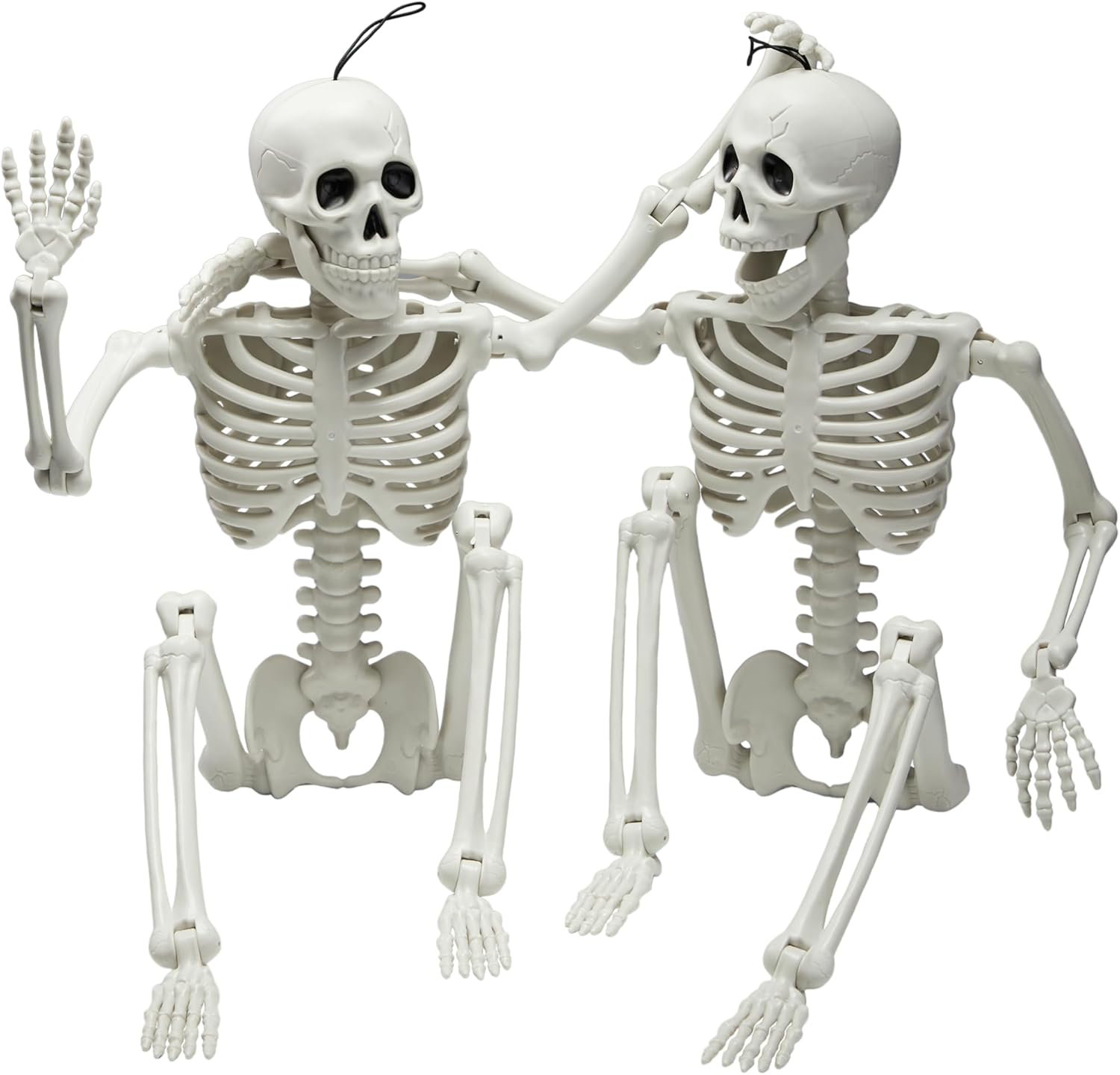 Ivy Bronx The 2 PCS 24" Halloween Posable Skeletons Hanging Full Body ...