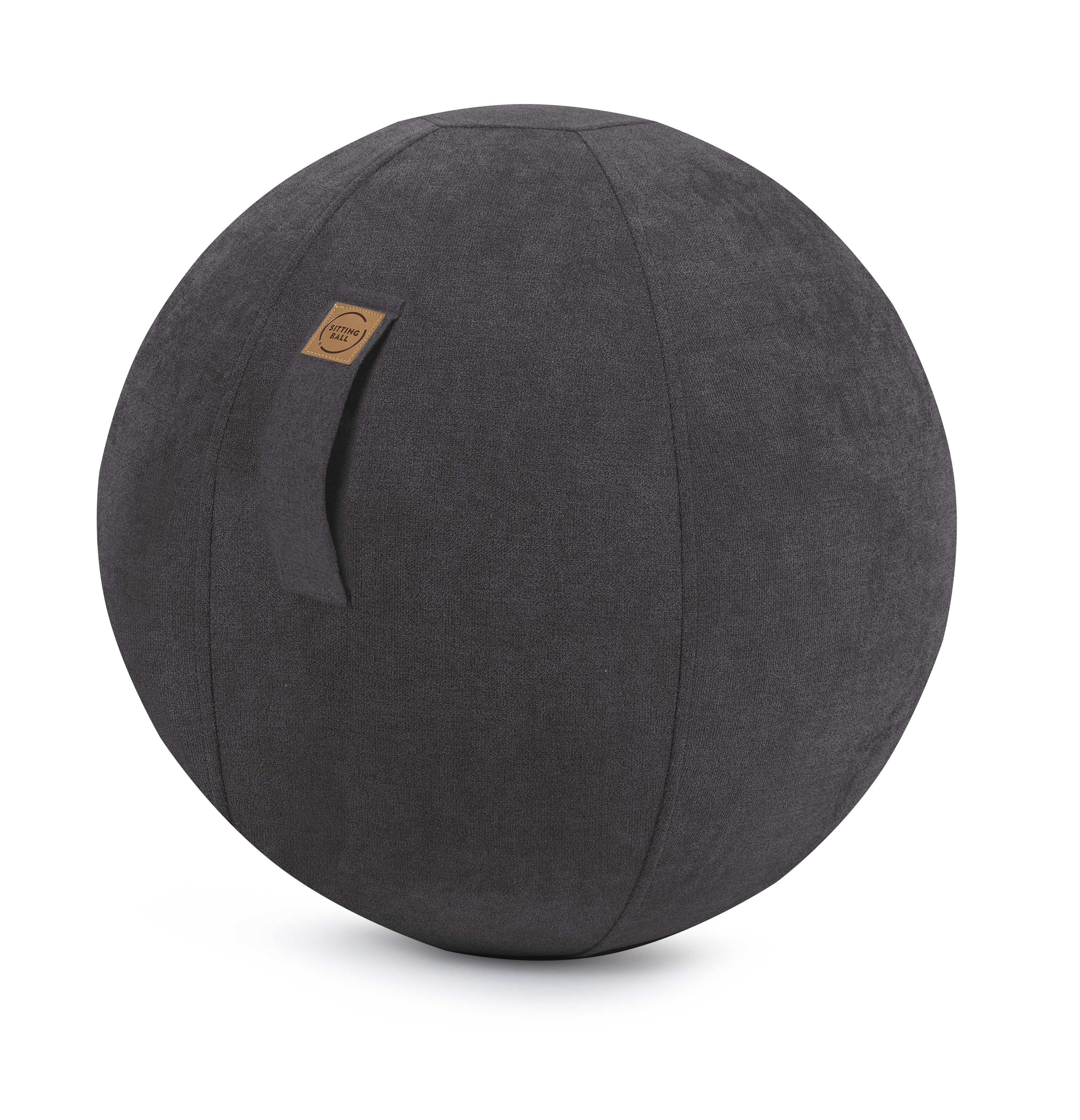 Latitude Run® Alfa Sitting Ball Chair | Wayfair