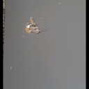 Wade Logan Ruggles TV Stand for TVs up to 55" & Reviews | Wayfair.co.uk