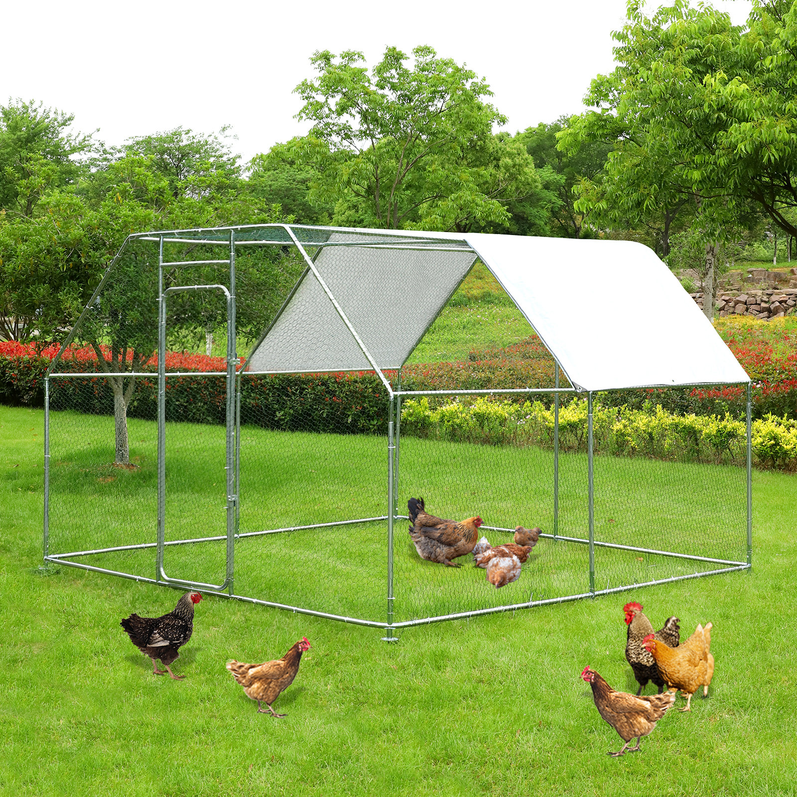 Tucker Murphy Pet™ Adriell Walk In Chicken Run & Reviews - Wayfair Canada