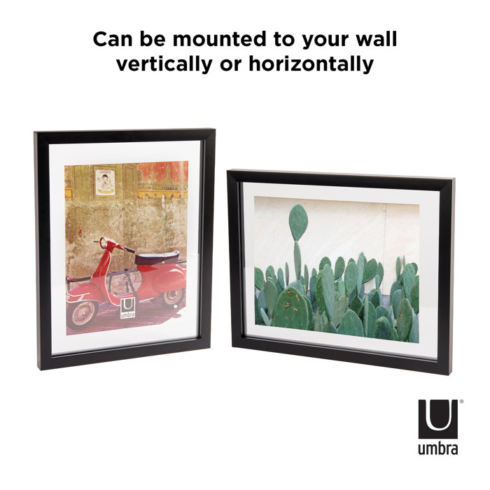 Umbra Document Picture Frame & Reviews | Wayfair