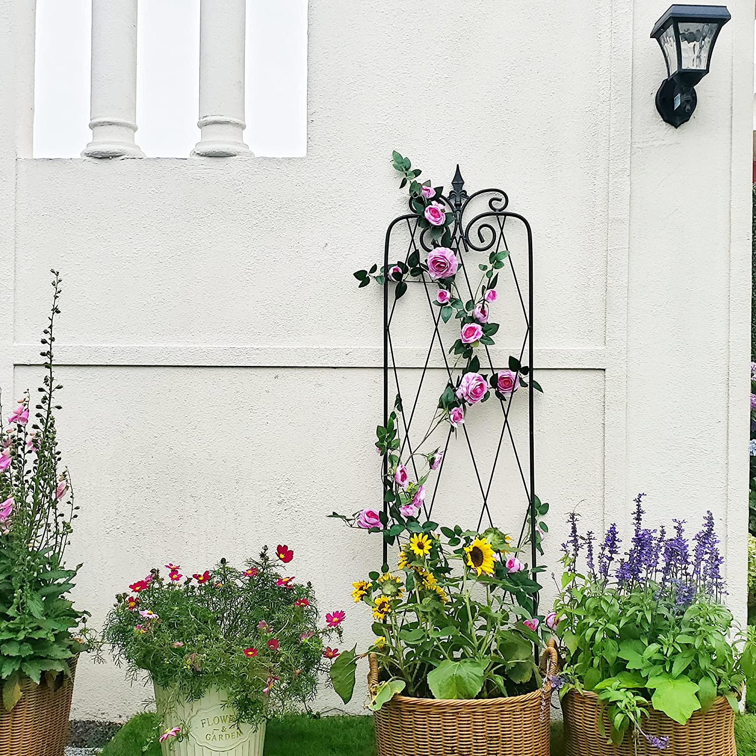 Charlton Home® 59'' H x 15'' W Metal Arched Trellis - Wayfair Canada