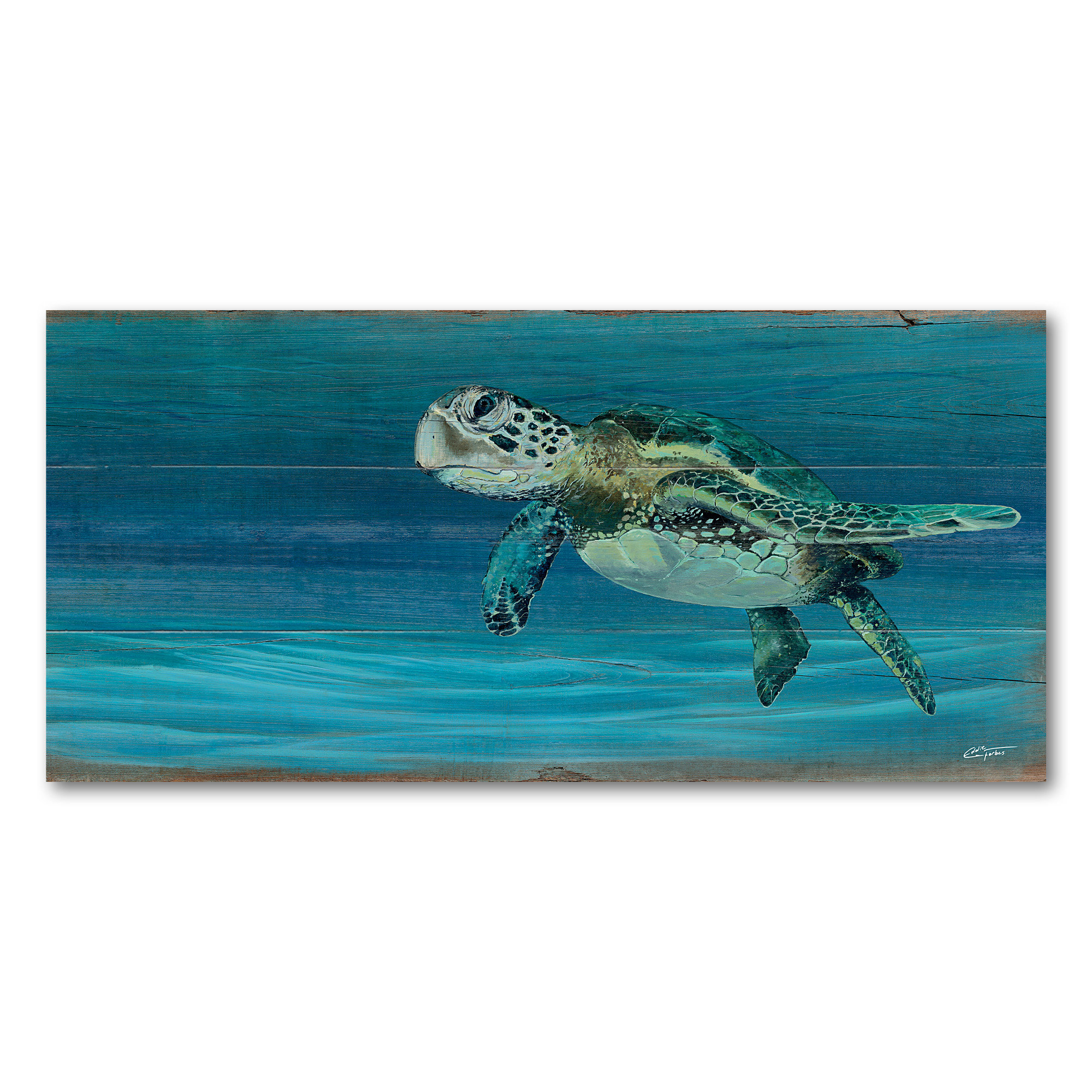 Bay Isle Home™ Turtle Wood On Wood Print | Wayfair