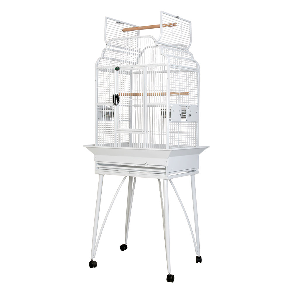 Tucker Murphy Pet™ Chardell Small Victorian Top Welded Bar Design Bird ...