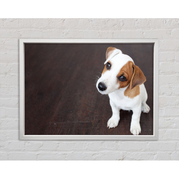 Bright Star Inquisitive Dog Jack Russell Pup - Single Picture Frame ...