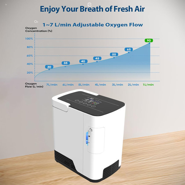 Lischwert 1L-90% Household Oxygen Generator-Continuous Flow Machine for ...