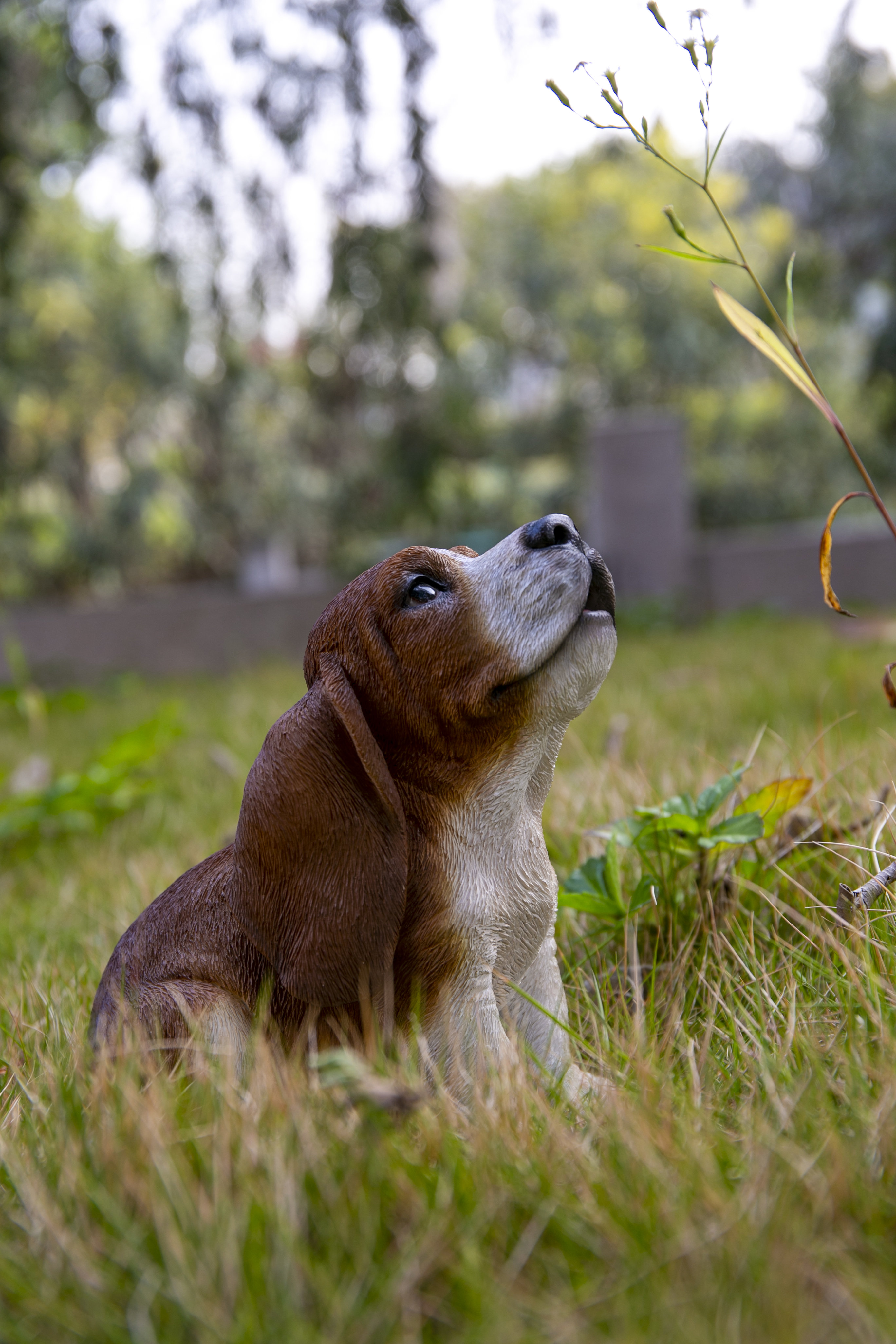 Hi-Line Gift Ltd. Basset Hound Puppy Howling & Reviews | Wayfair