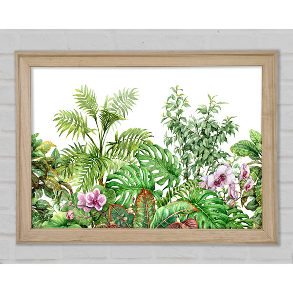 Bay Isle Home Summer Foliage - Single Picture Frame Art Prints ...