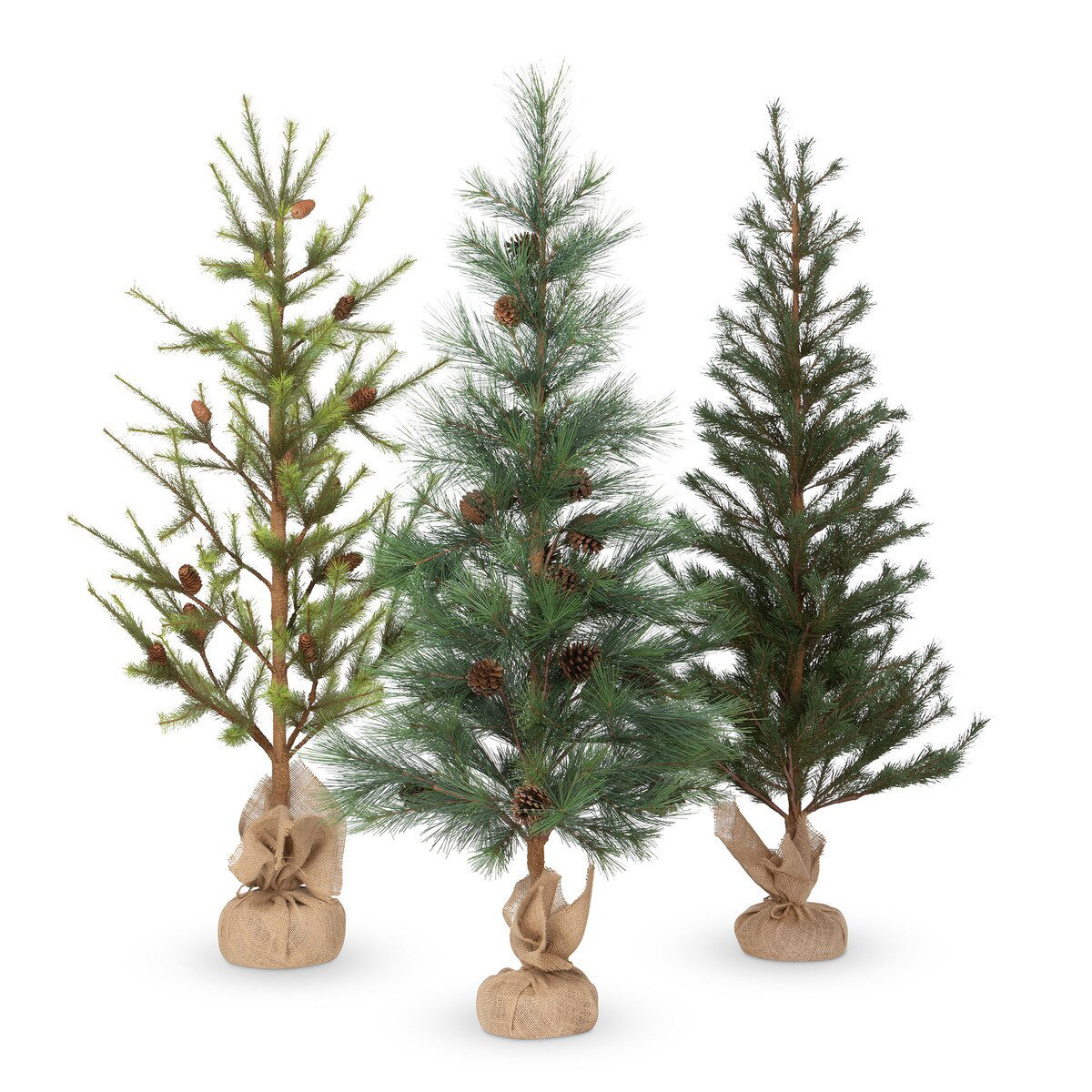 Park Hill Collection Tree Lot 60' Christmas Tree | Wayfair