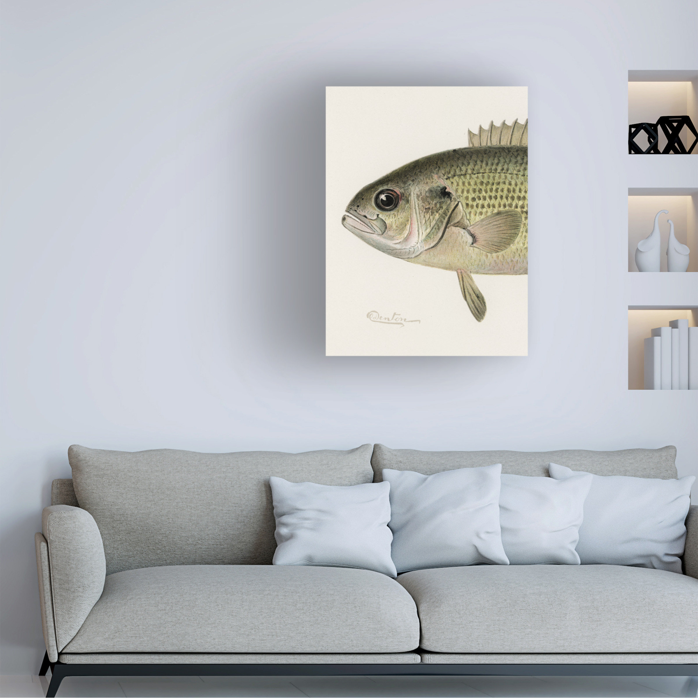 Trademark Fine Art Sherman F. Denton Rock Bass Crop Canvas Art | Wayfair