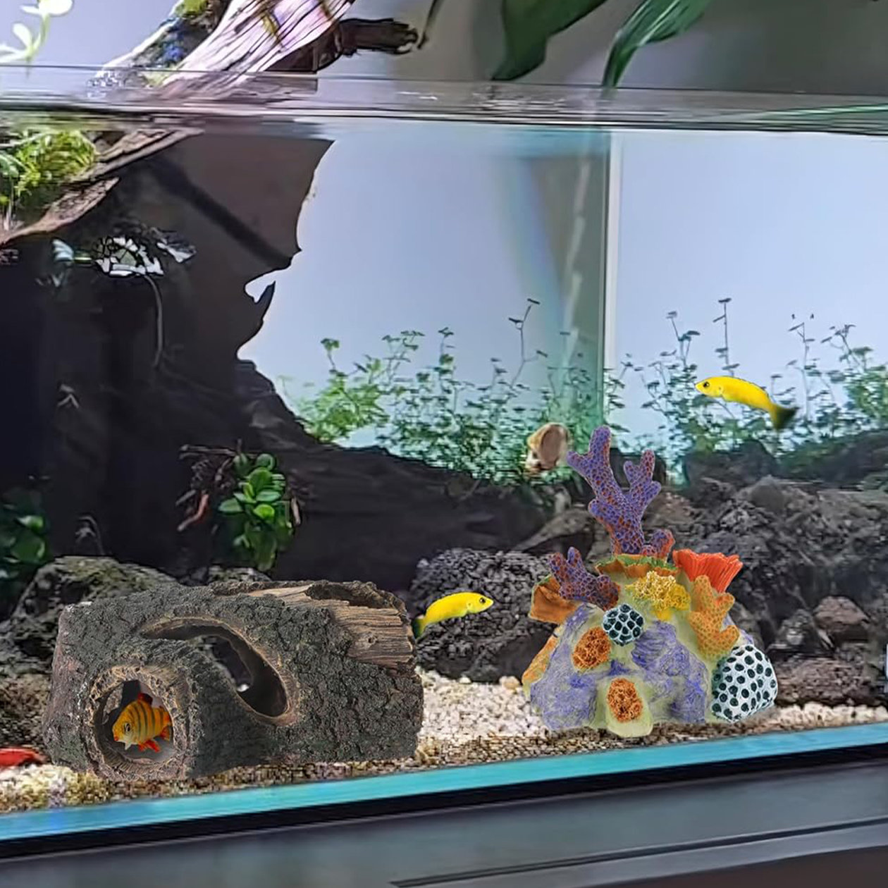 Archie & Oscar™ Resin Hollow Tree Trunk, Coral Reef Simulation ...