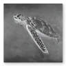 Begin Edition International Inc. Grayscale Sea Turtle - Gray Metal ...