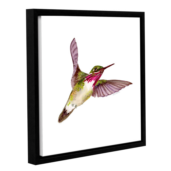 Winston Porter " Calliope Hummingbird " by Amy Kirkpatrick - Wayfair Canada
