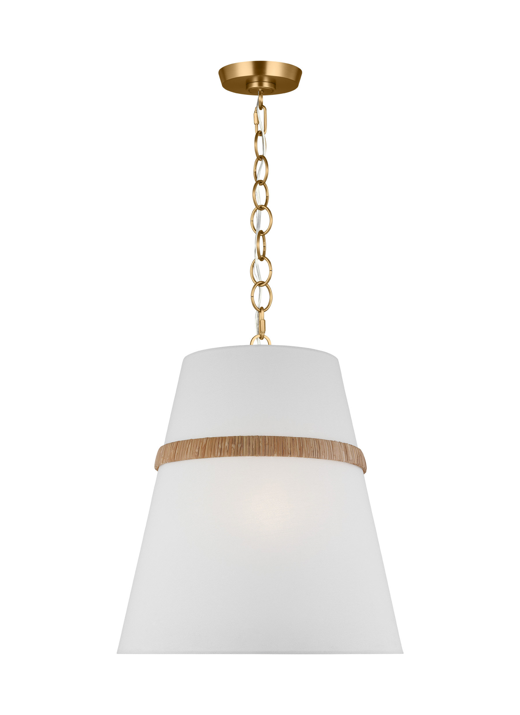 Bayou Breeze Daquavion Pendant & Reviews | Wayfair