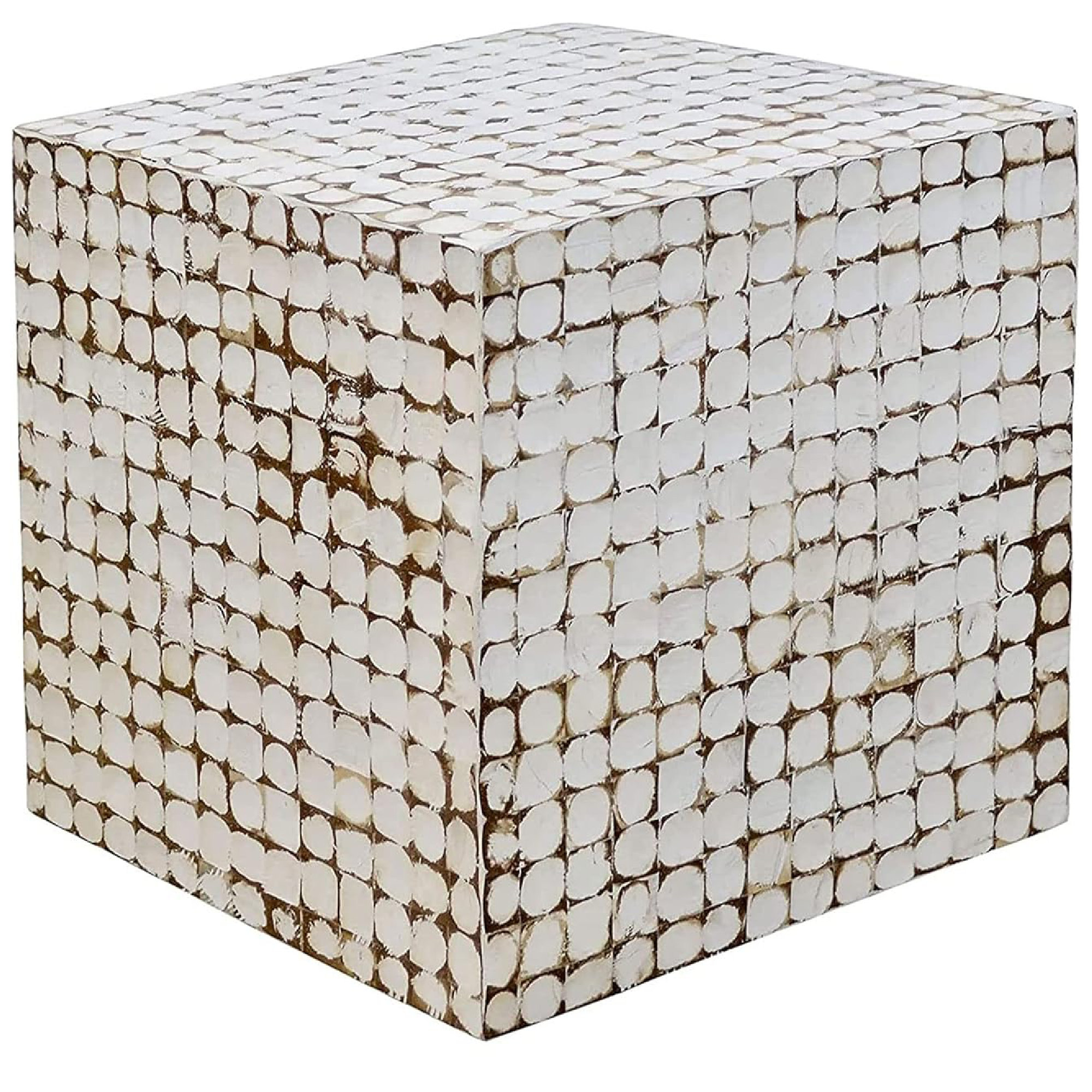 Brayden Studio Real Shell Square End Table | Wayfair