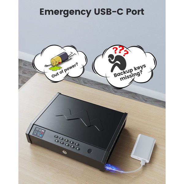 BEACHWATER POOL & SPA, LLC Gun Safe, Biometric Gun Safes For Handgun ...