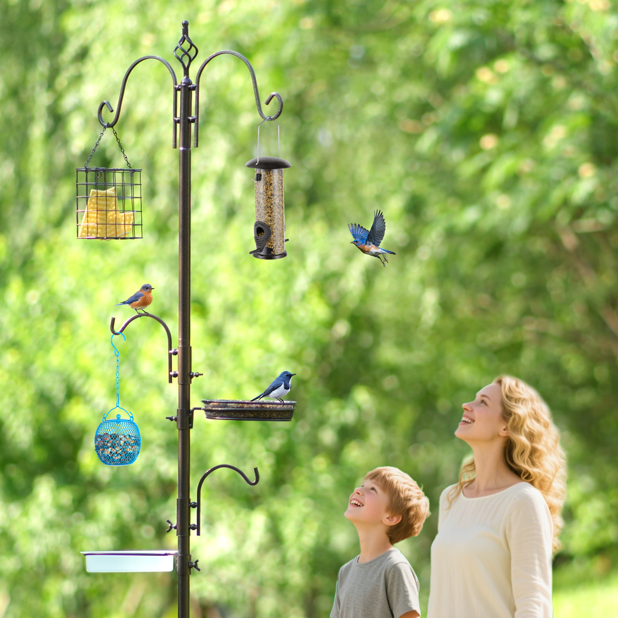 Lark Manor™ Adjustable 4-hook Bird Feeding Station For Outdoors With ...