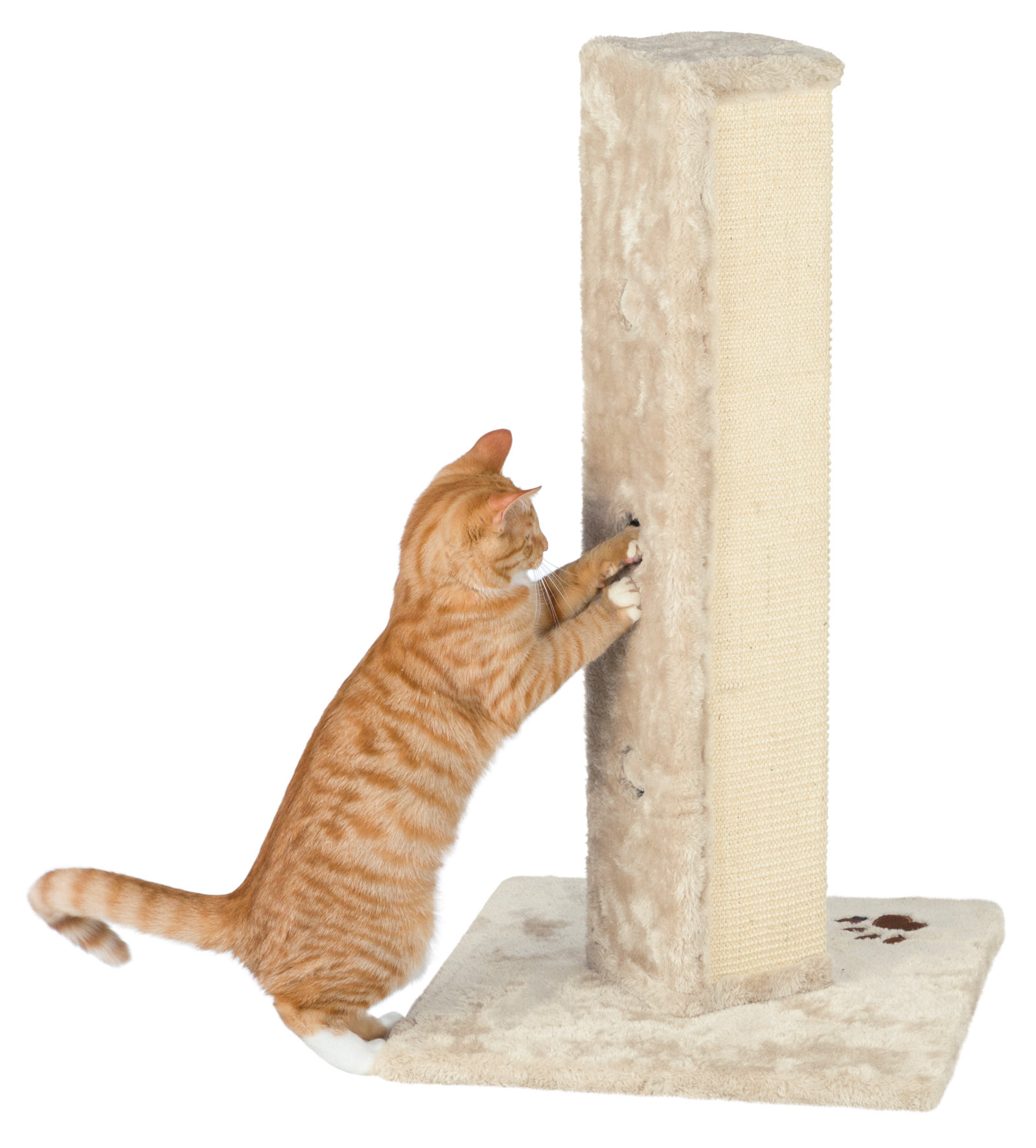 TRIXIE Soria 31.5" Cat Scratching Post, Sisal Cat Scratcher, Square ...