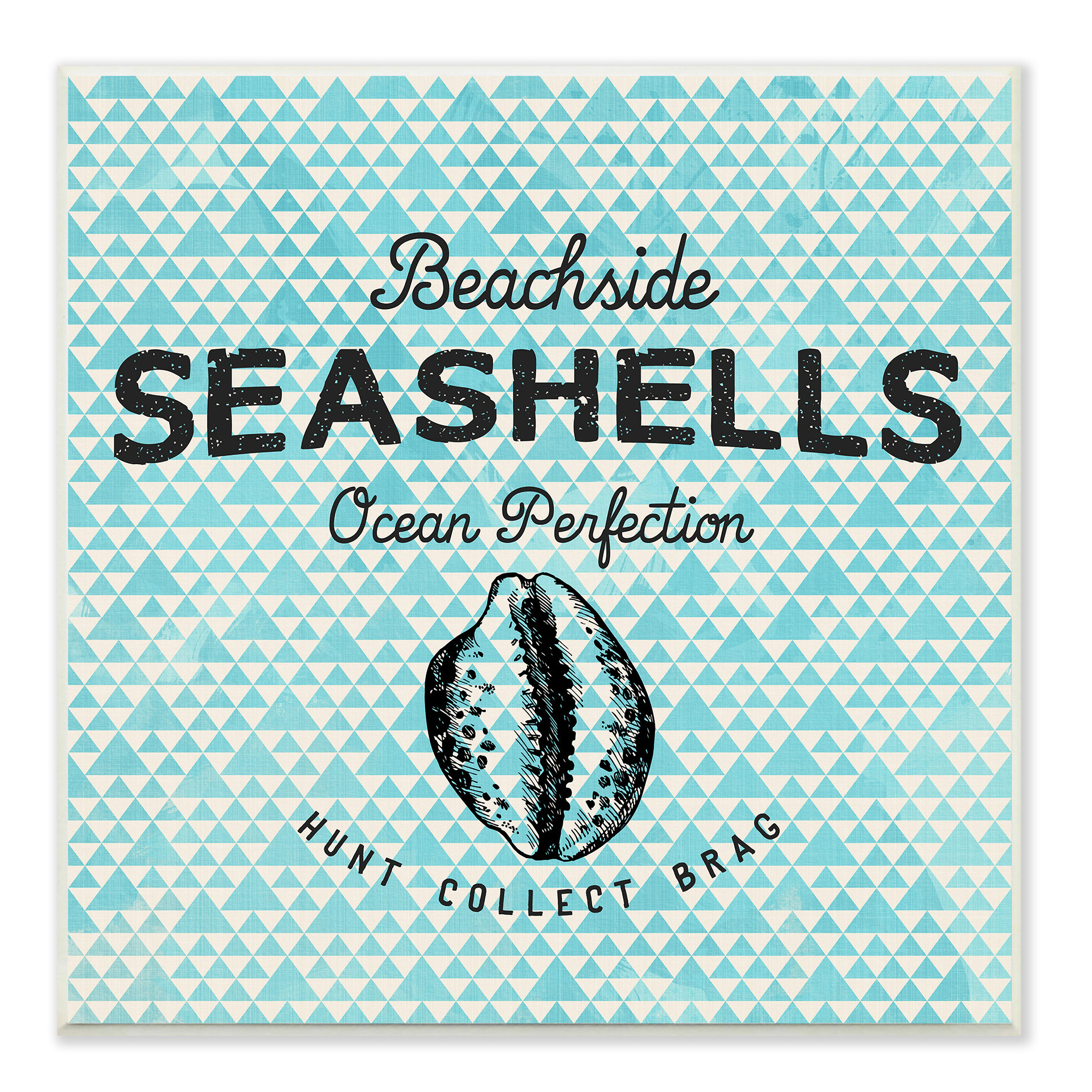 Stupell Industries Beachside Seashells Ocean Perfection with Cowry ...