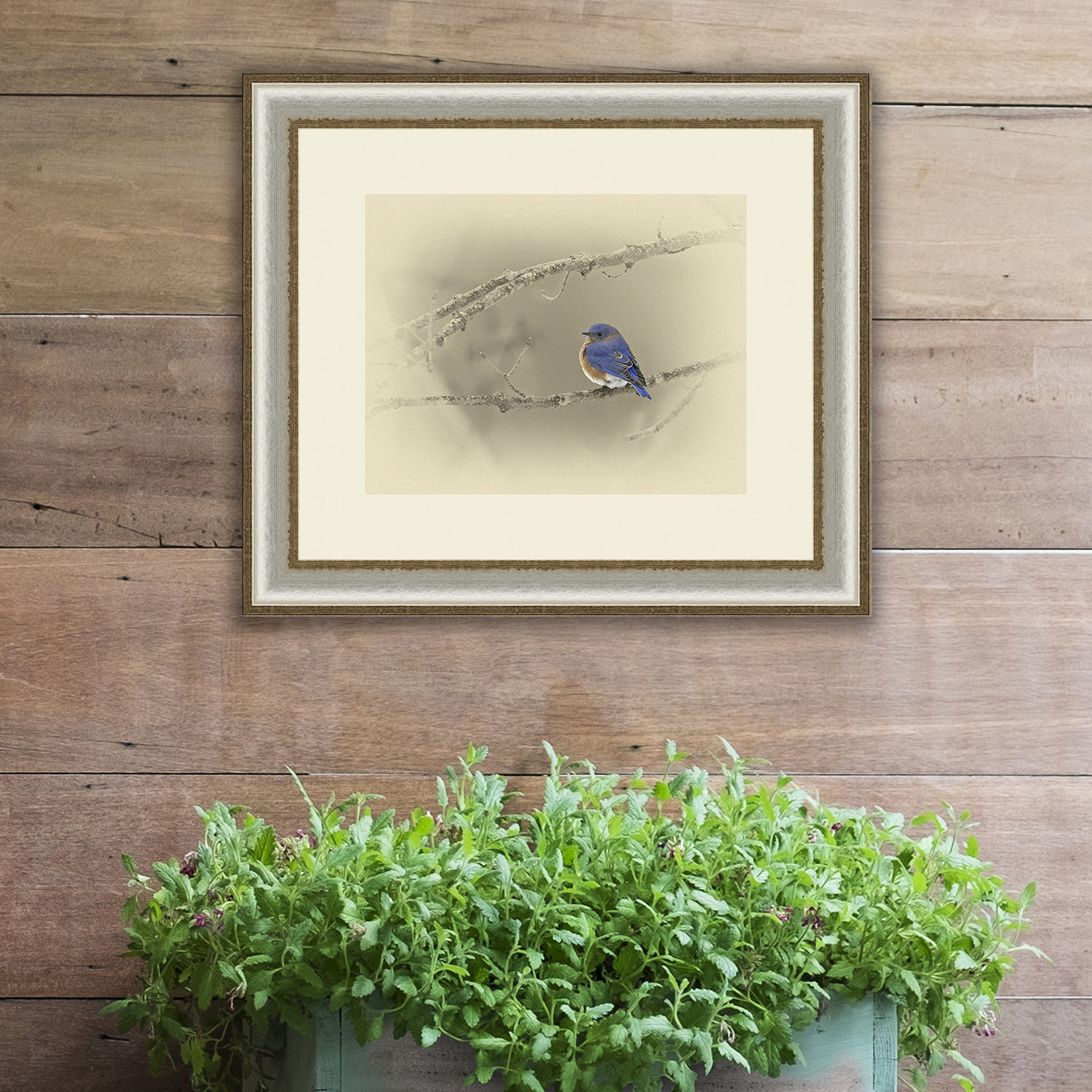 Charlton Home® 'Blue Bird' Framed Photographic Print | Wayfair