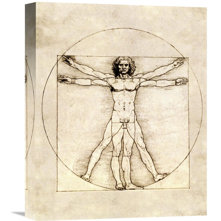 Vault W Artwork Proportions Of The Human Figure (Vitruvian Man) On ...