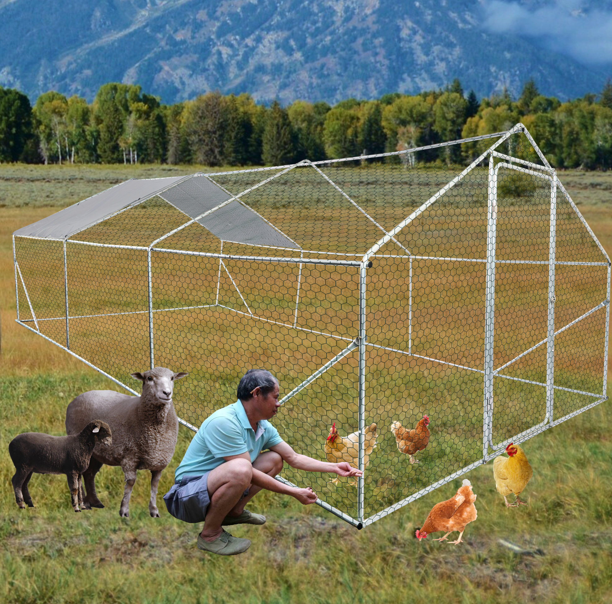 Tucker Murphy Pet™ Outdoor chicken coop metal big space 10*6FT 3 Unit ...