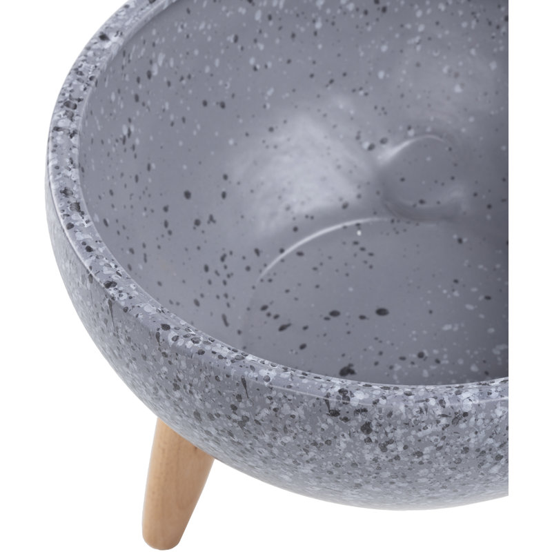 Wade Logan® Ashlan Ceramic Pot Planter & Reviews | Wayfair