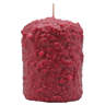 Star Hollow Candle Company Cranberry Scented Novelty Candle & Reviews ...