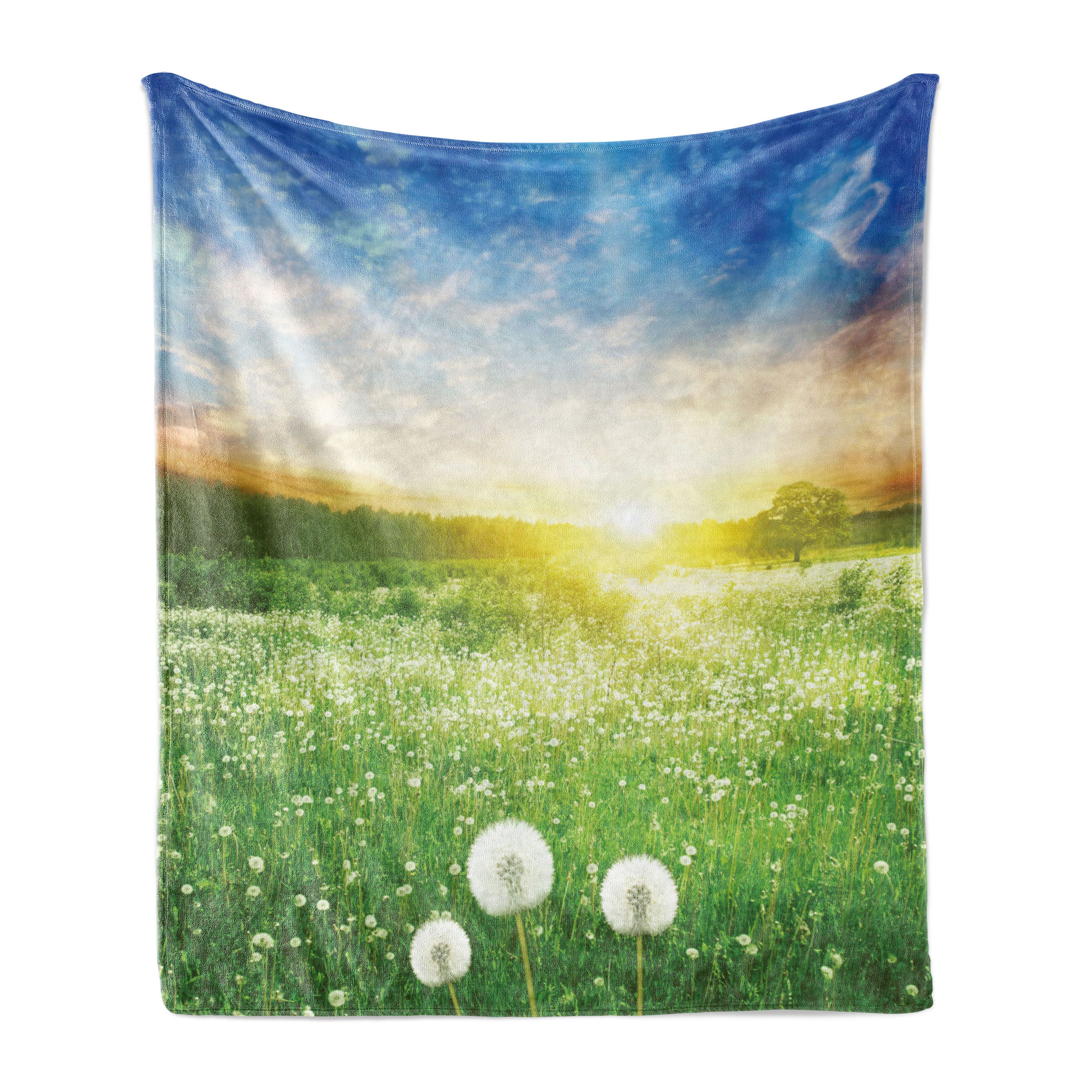 Ambesonne Spring Fleece Throw Blanket Dandelion Flower Field Lime Green ...