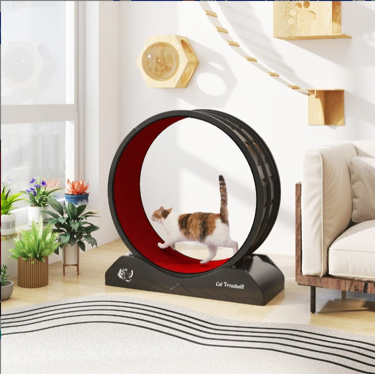 Tucker Murphy Pet™ Cat Treadmill Cat Running Wheel With Carpeted Runway ...