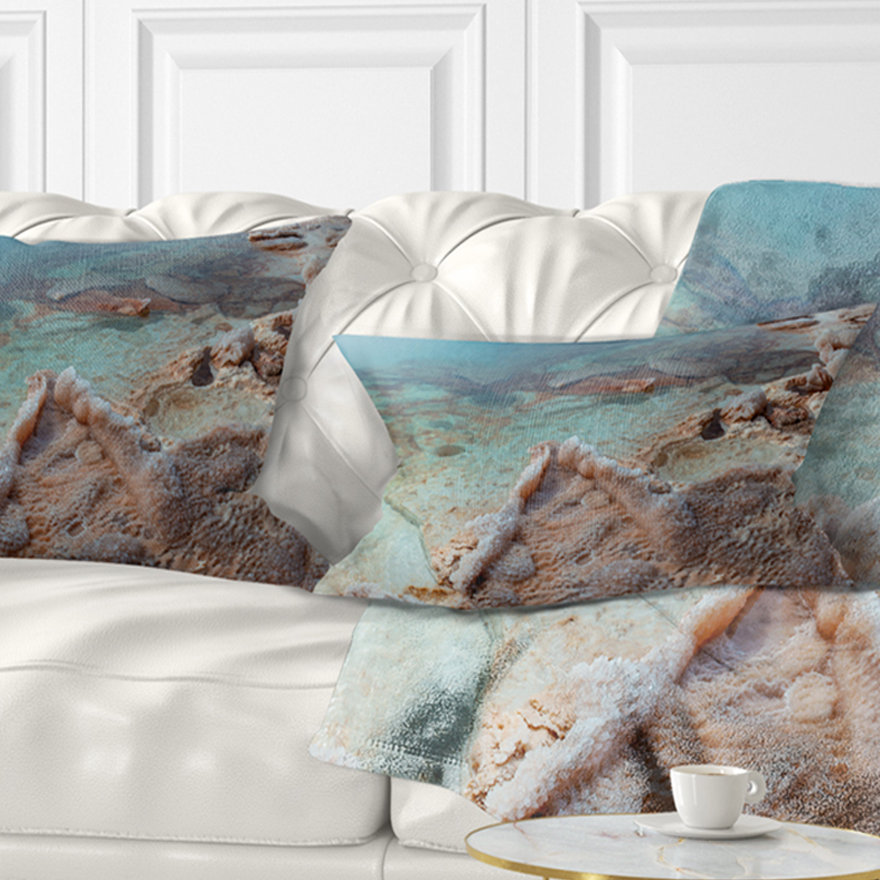 Design Art Landscape Printed Dead Sea Shore with Crystallized Salt ...