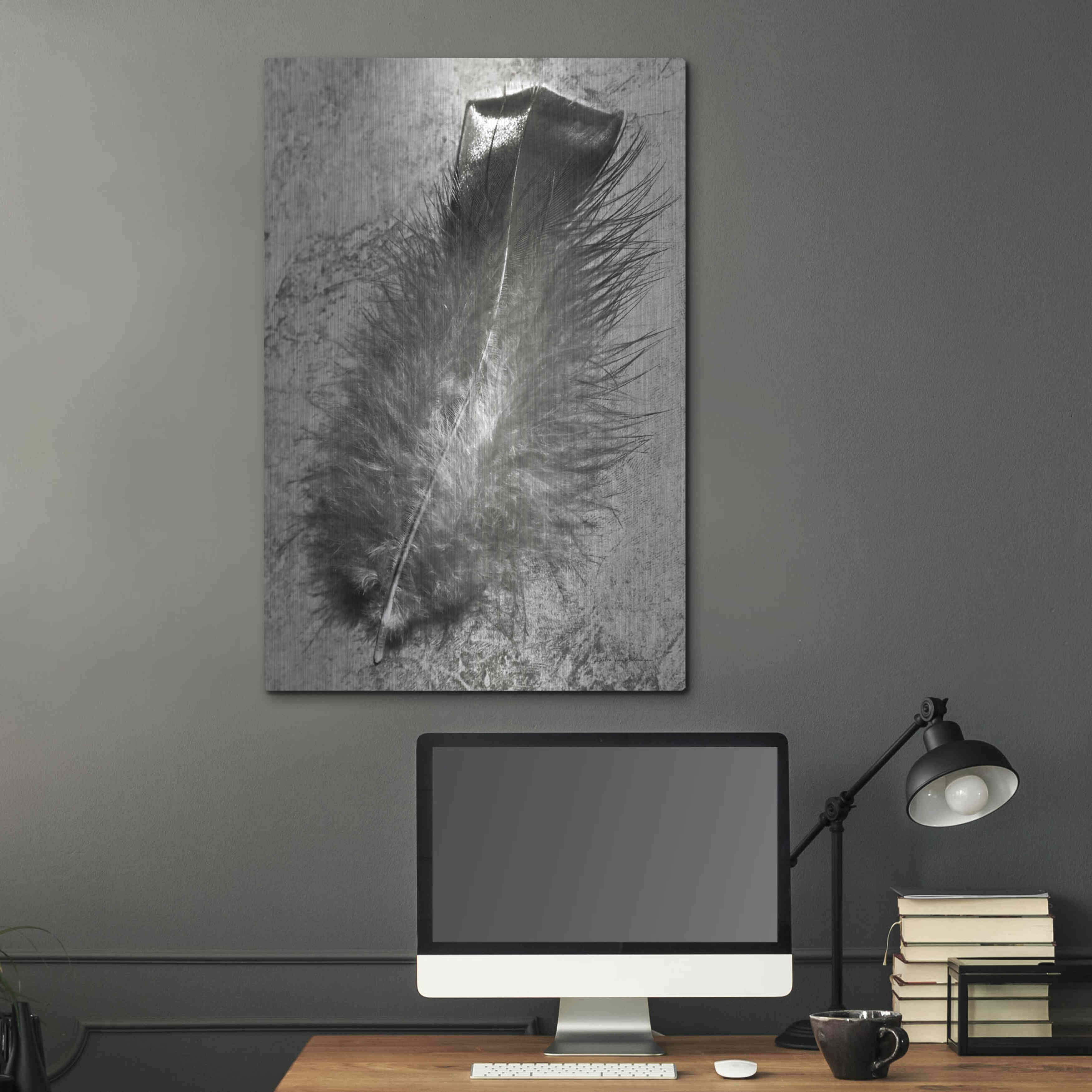 Luxe Metal Art 'Feather Shadow IV' By Debra Van Sw " Feather Shadow IV ...