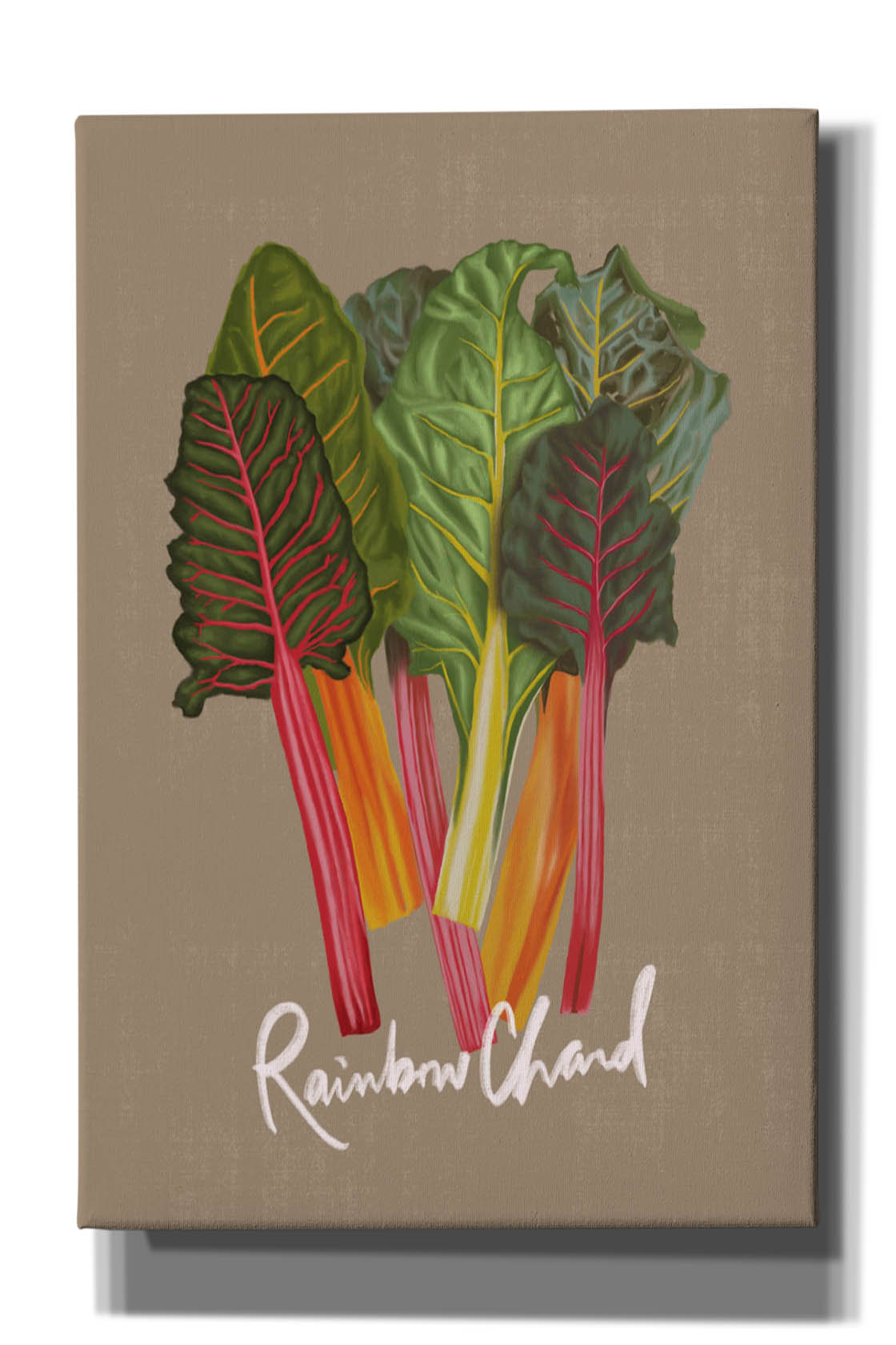 Red Barrel Studio® 'Rainbow Chard' by Elizabeth Caldwell Canvas Wall ...