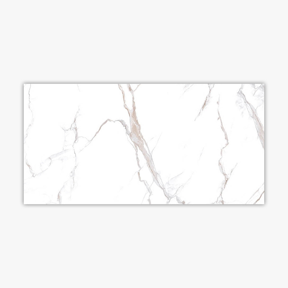 Direct Stone Source Calacatta 12" x 24" Porcelain Marble Look Singular ...