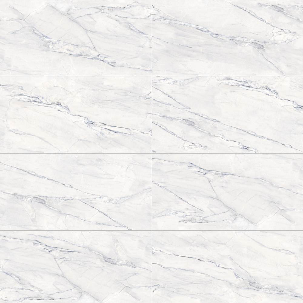 The Tile Life Monarch 12" x 24" Polished Porcelain Wall & Floor Tile ...