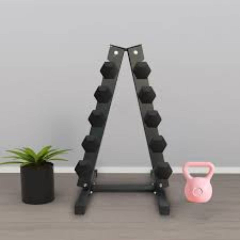 WFX Utility™ A-frame Dumbbell Rack (for 5 Pairs) | Wayfair