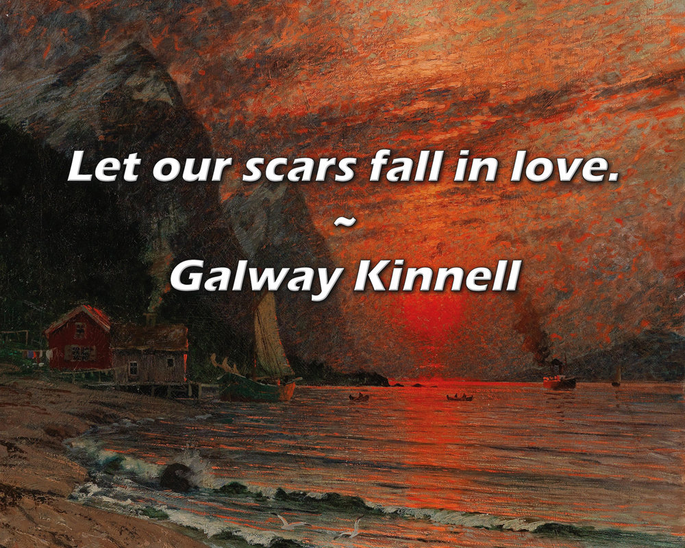 Trinx Galway Kinnell Quote: Let our scars fall in love. | Wayfair