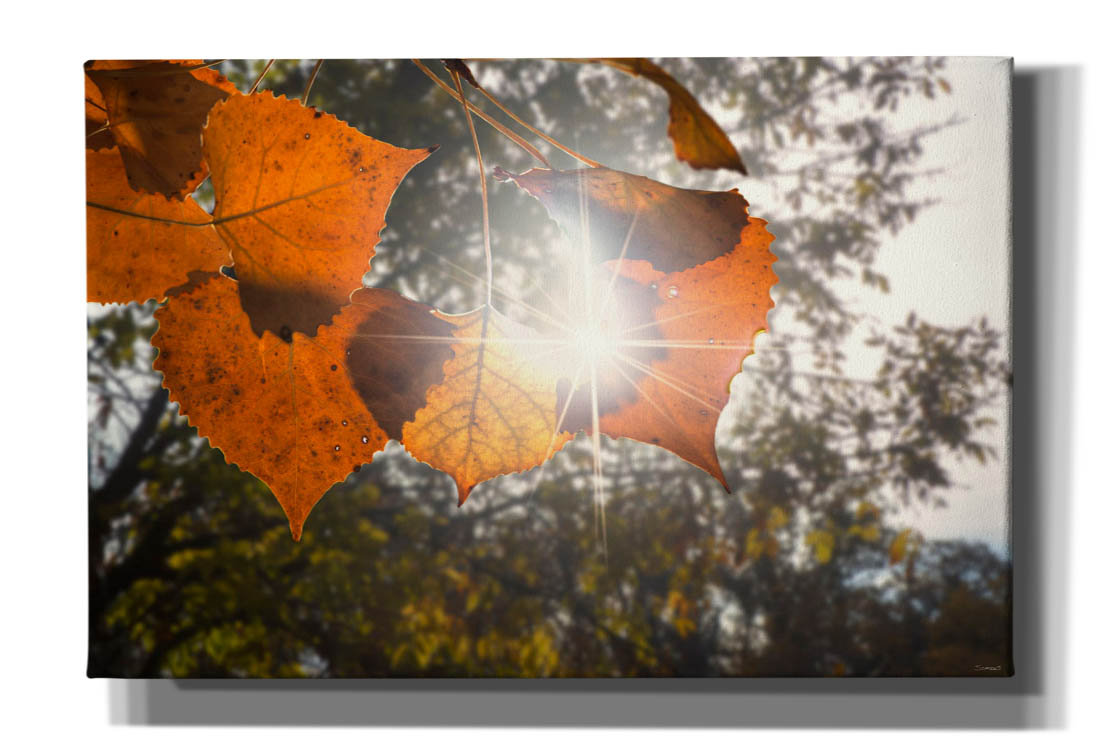 Ebern Designs 'Autumn 22' by Gordon Semmens Canvas Wall Art | Wayfair