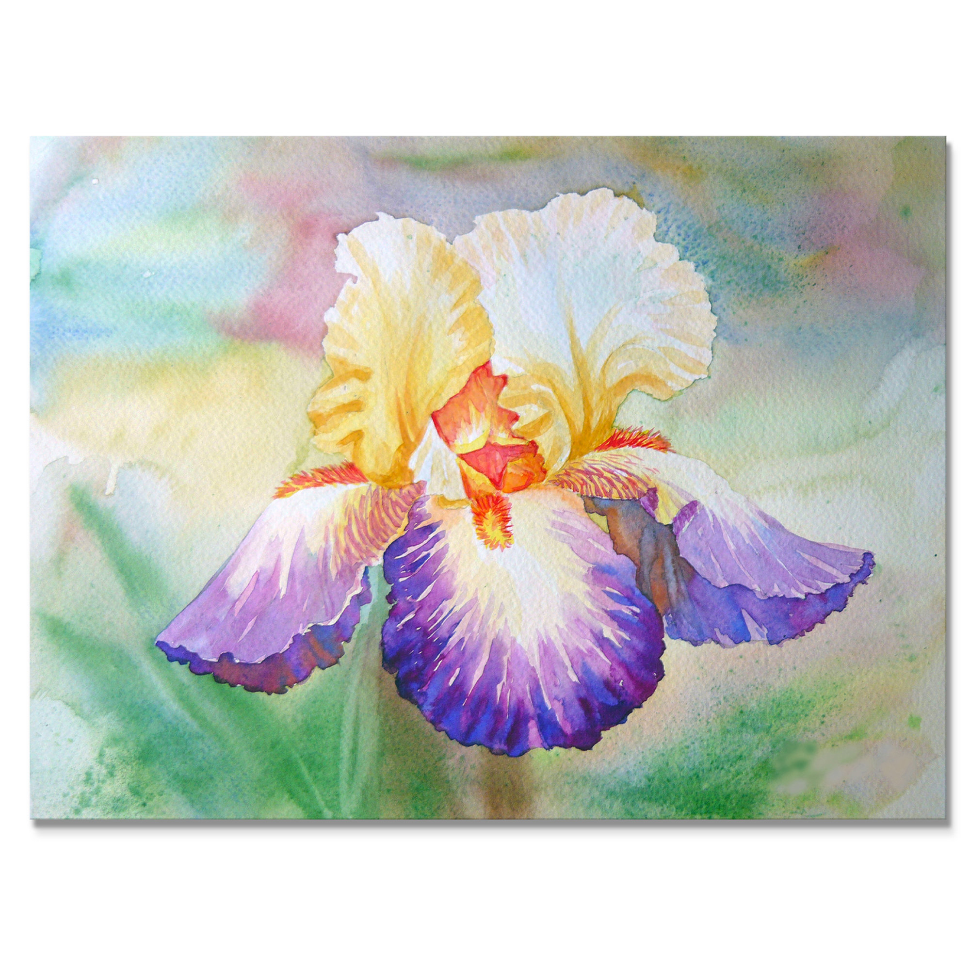 Winston Porter Blue And Purple Iris In Summer - Floater Frame Print on ...