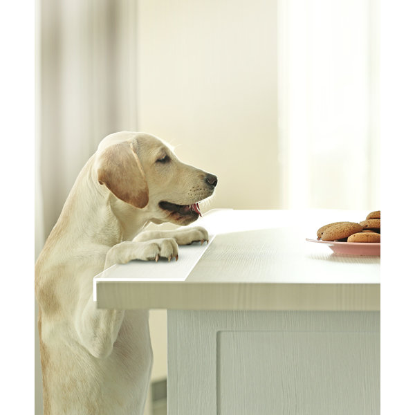 CLAWGUARD Clear Counter Protector Scratch Barrier Against Sharp Nails ...