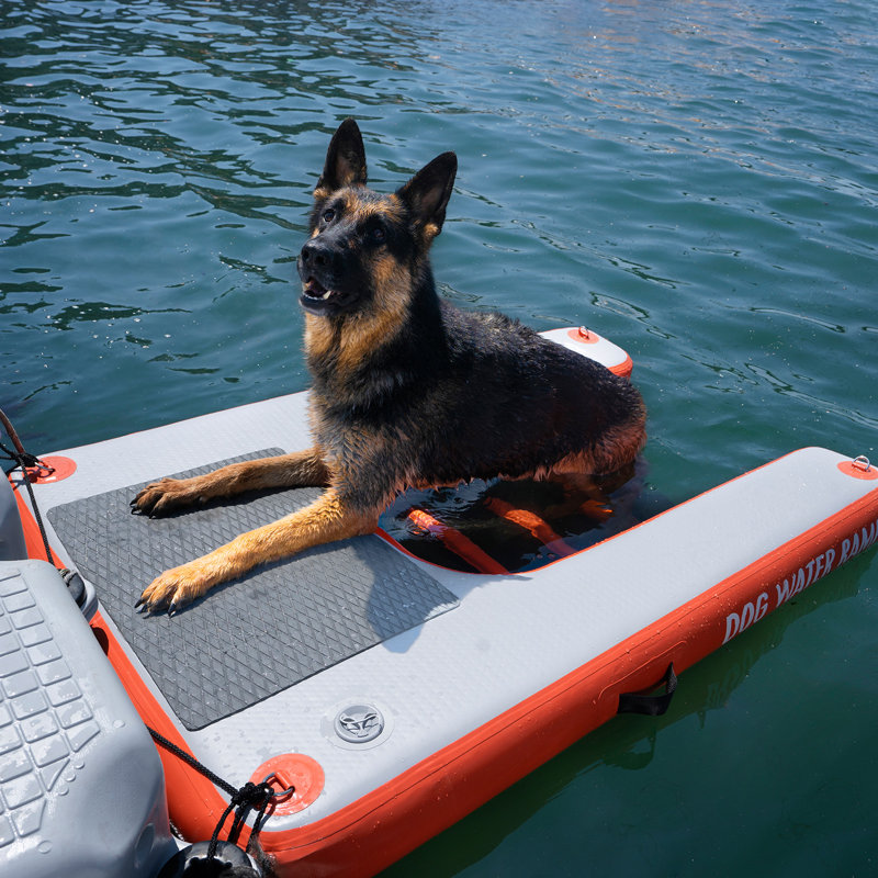 RYPetmia Dog Water Ramp, Inflatable Dog Float Floating Ramp Ladder For ...