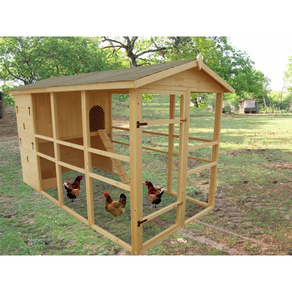 Archie & Oscar Gutierrez 6.09m² with Chicken Run | Wayfair.co.uk