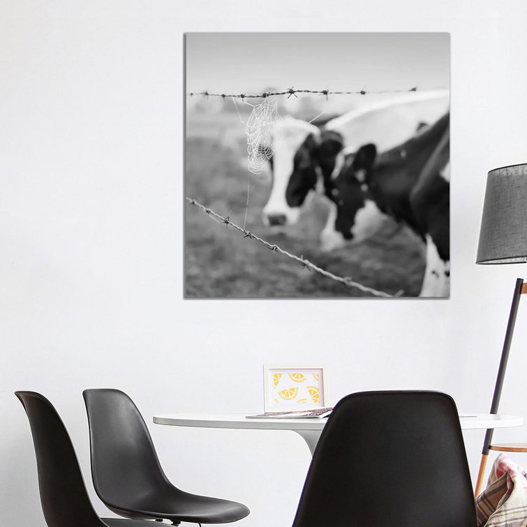 August Grove Holstein Cow by Chip Forelli - Wrapped Canvas Photograph ...