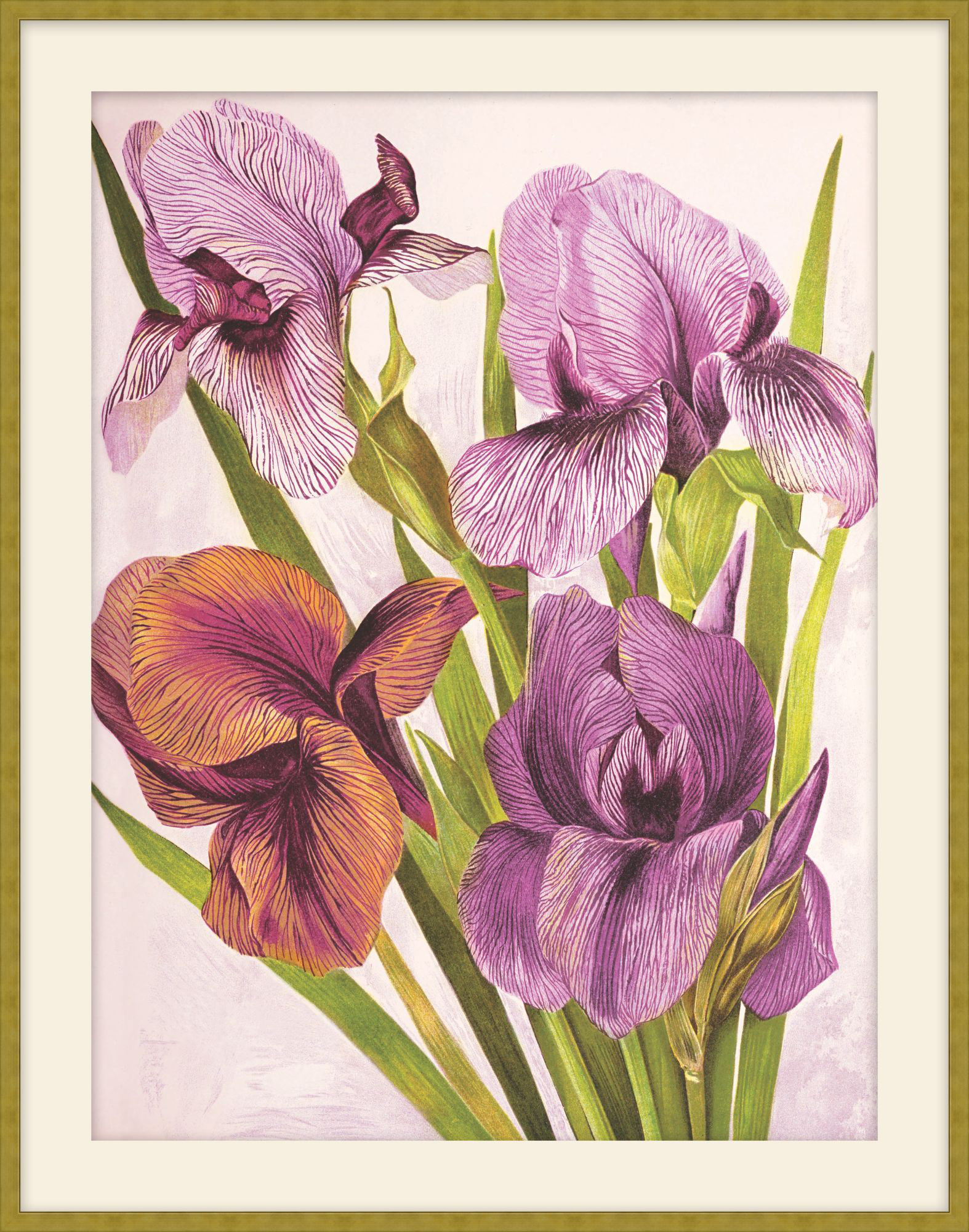 Art House Studios Jewel Blooms 7 Framed Art Print | Perigold