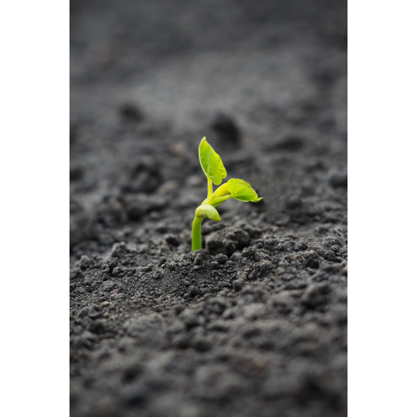 17 Stories New Life by Infrontphoto - No Frame Art Prints on Canvas ...