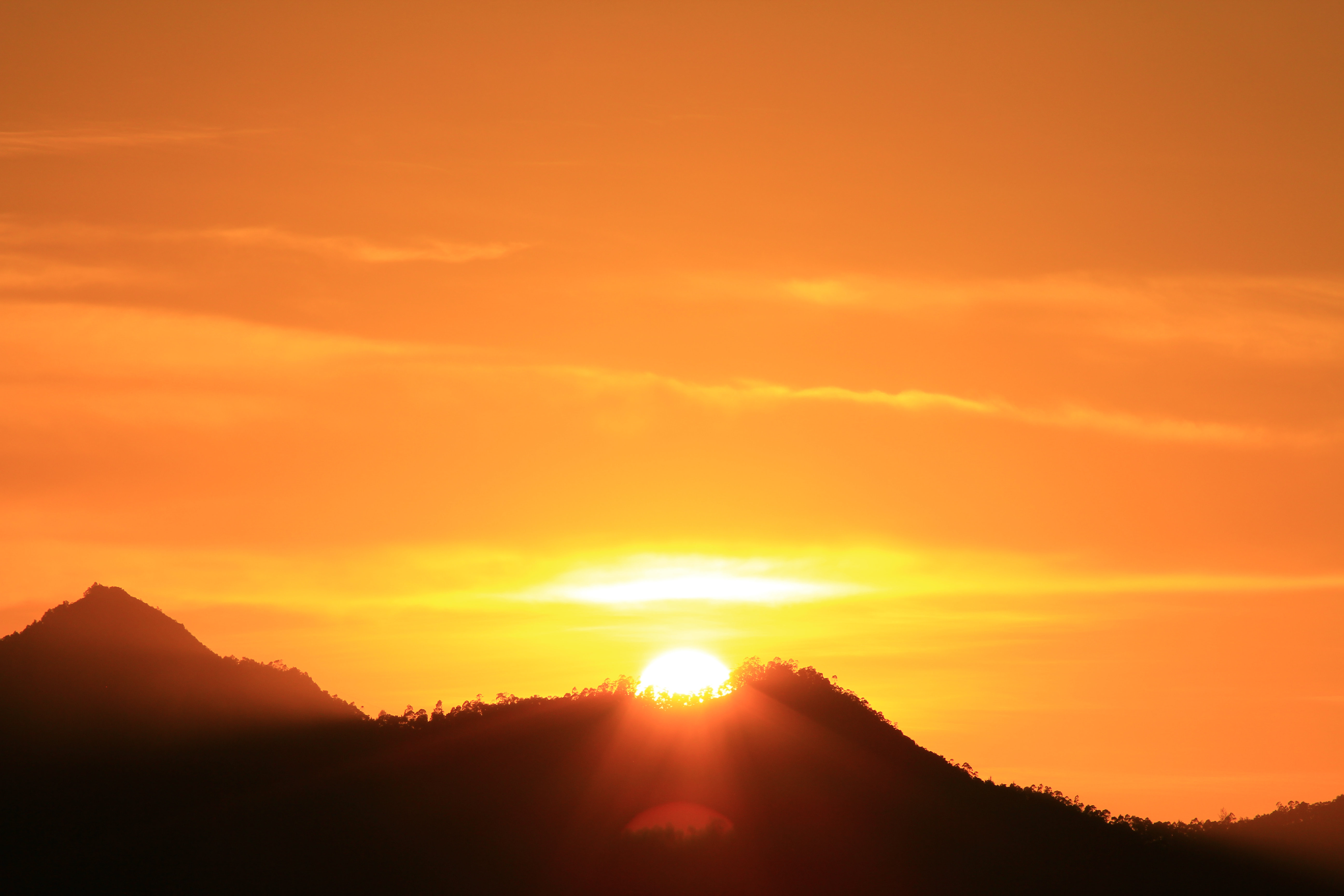 Millwood Pines Sparkling Sunset by Peter_Lsw - Wrapped Canvas ...