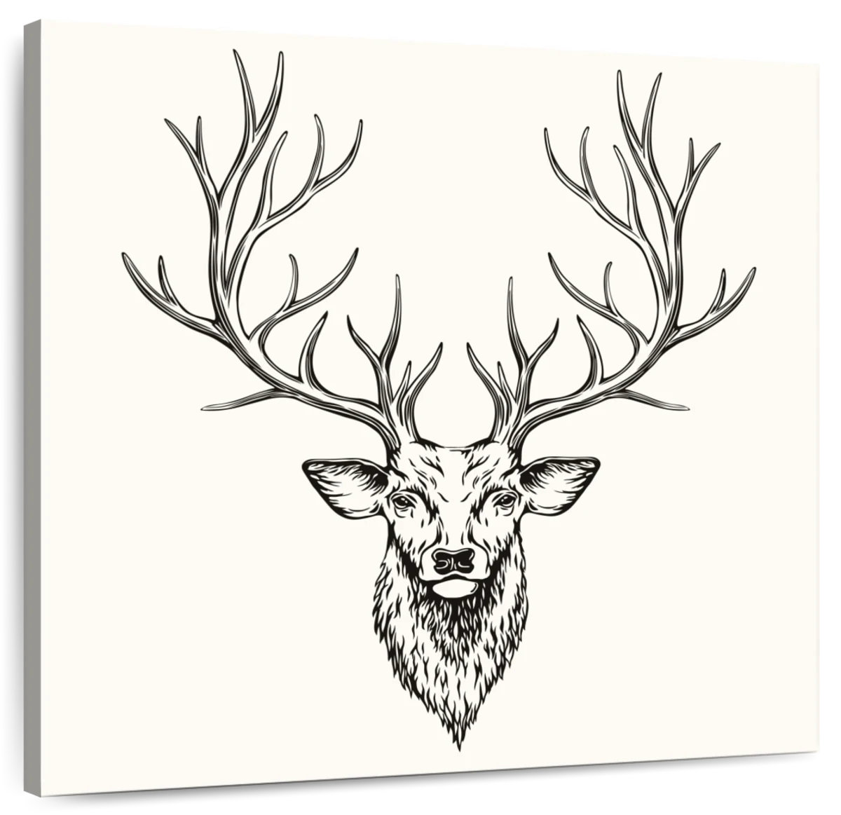 Elephant Stock Deer Stag Head | Wayfair